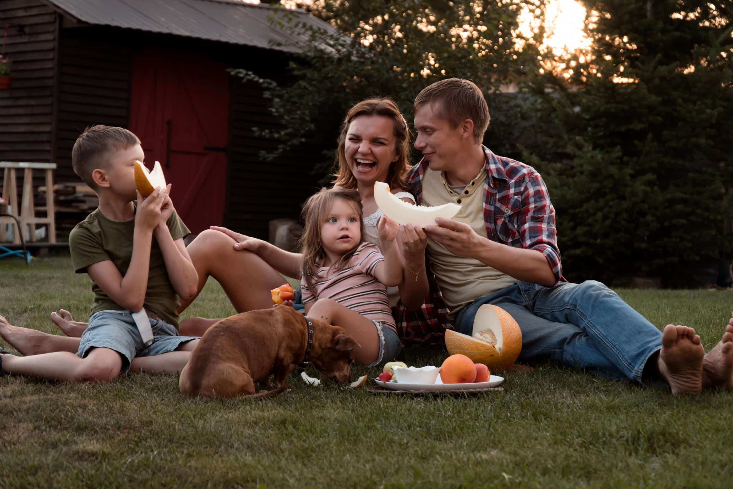 What is the Great Aussie Backyard Expo? - Great Aussie Backyard Expo